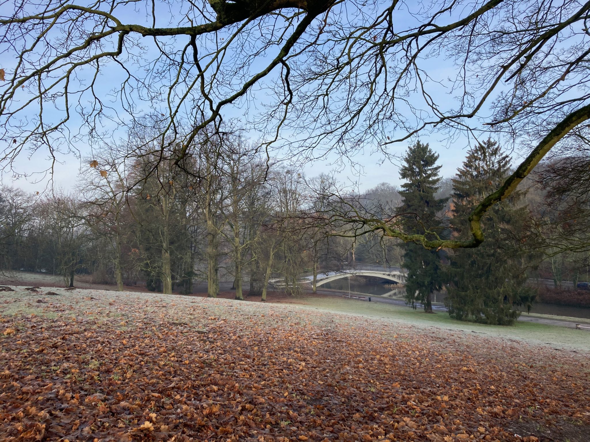 Altglas & wilde Müllhalden – Europas Verhältnis zur Natur - Stettinum